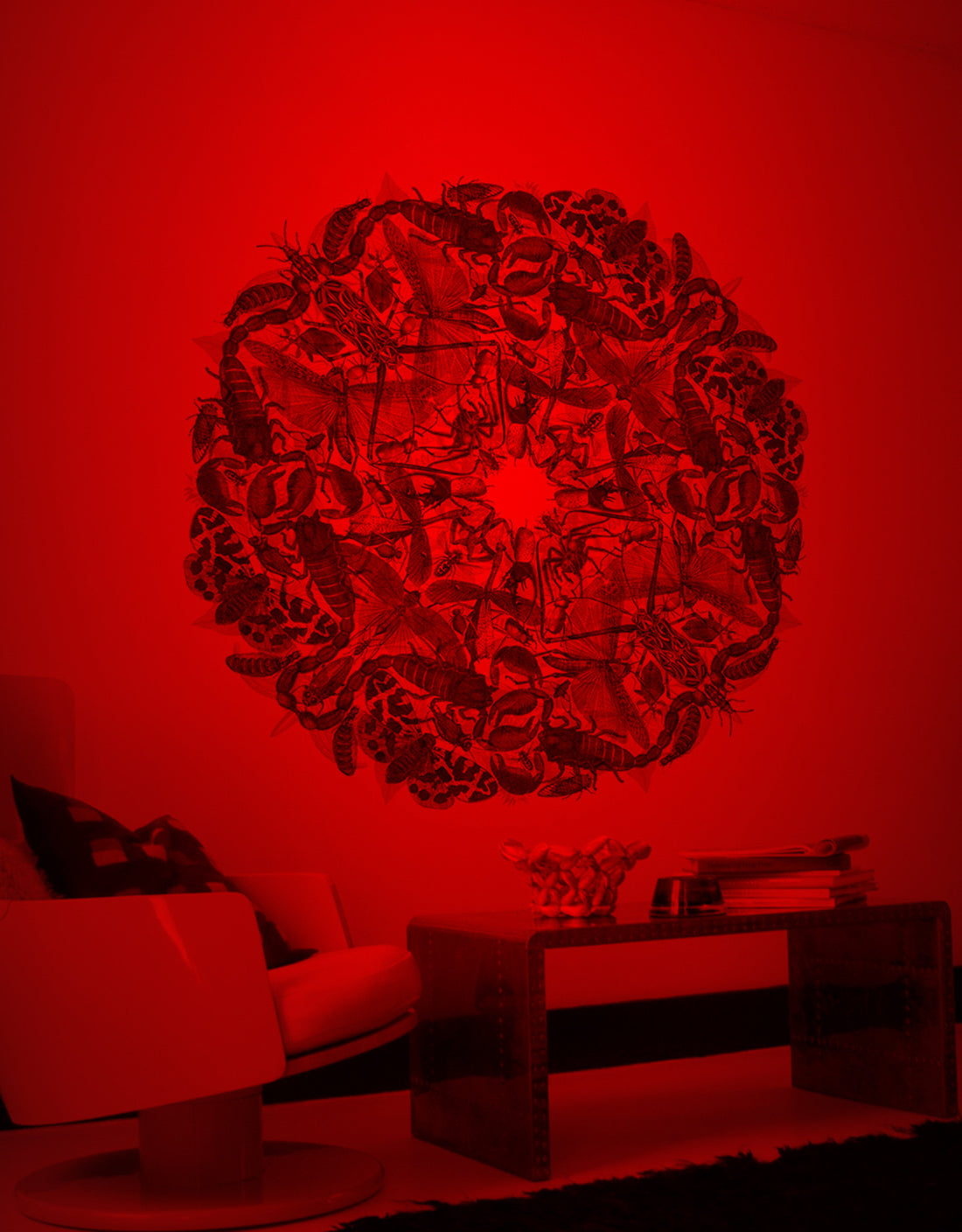 Rosone N. 3 ~ Insecta Wall Decal