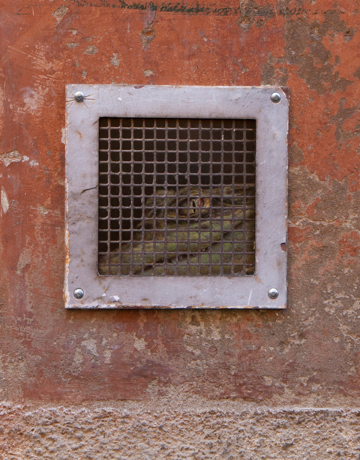 Gator Grate Wall Decal