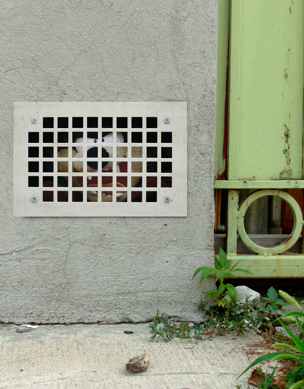 What the %$#@? Taz Wall Decal